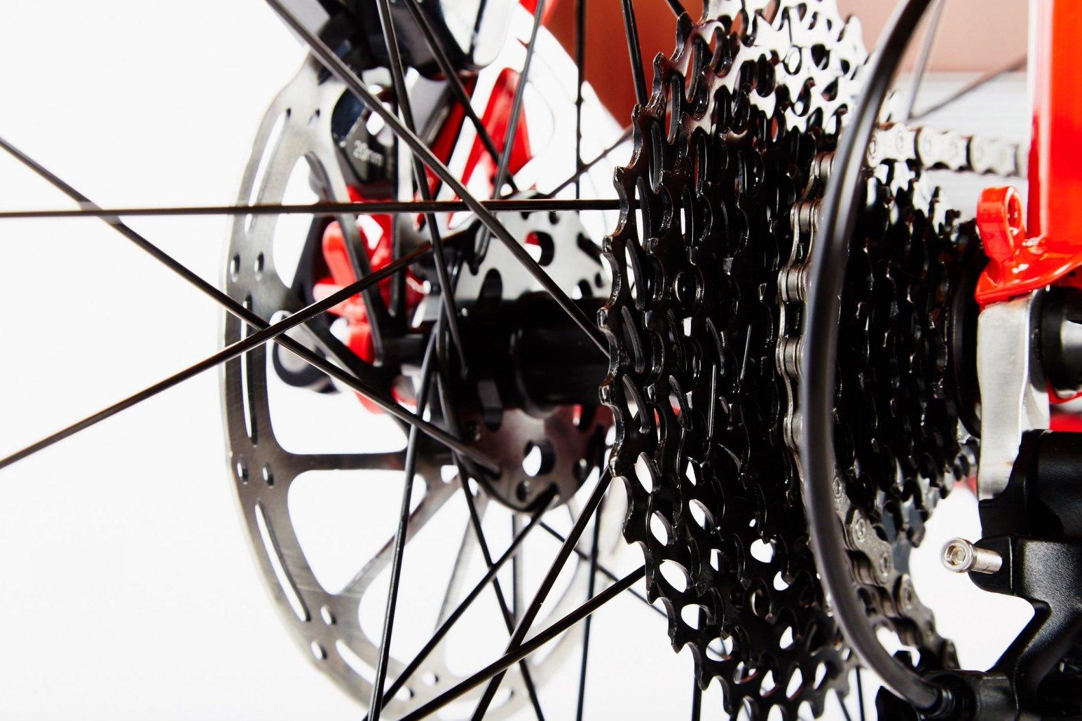 Goldhawk Gallery - Goldhawk